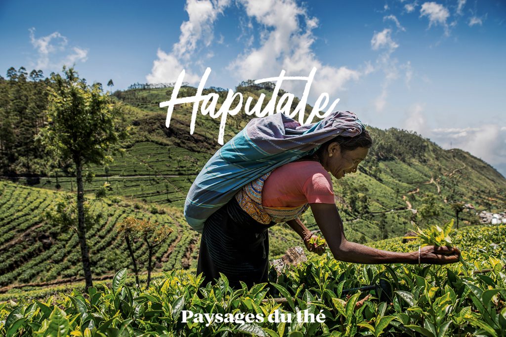 Tout savoir pour prendre le bus au Sri Lanka - Voyage Lanka